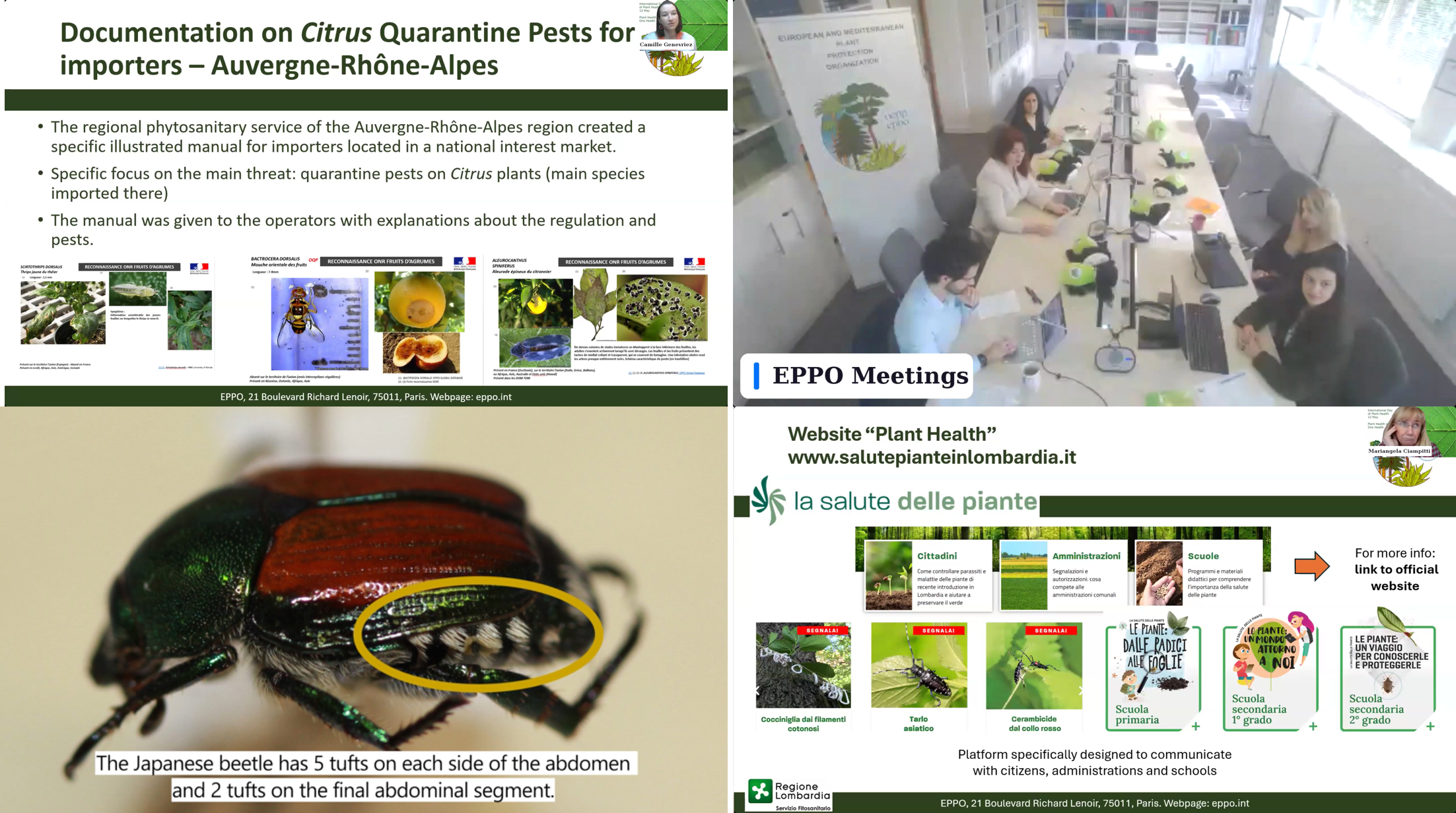 EPPO Webinar on Communication. Plant Health in Focus: raising awareness of regulated and ...